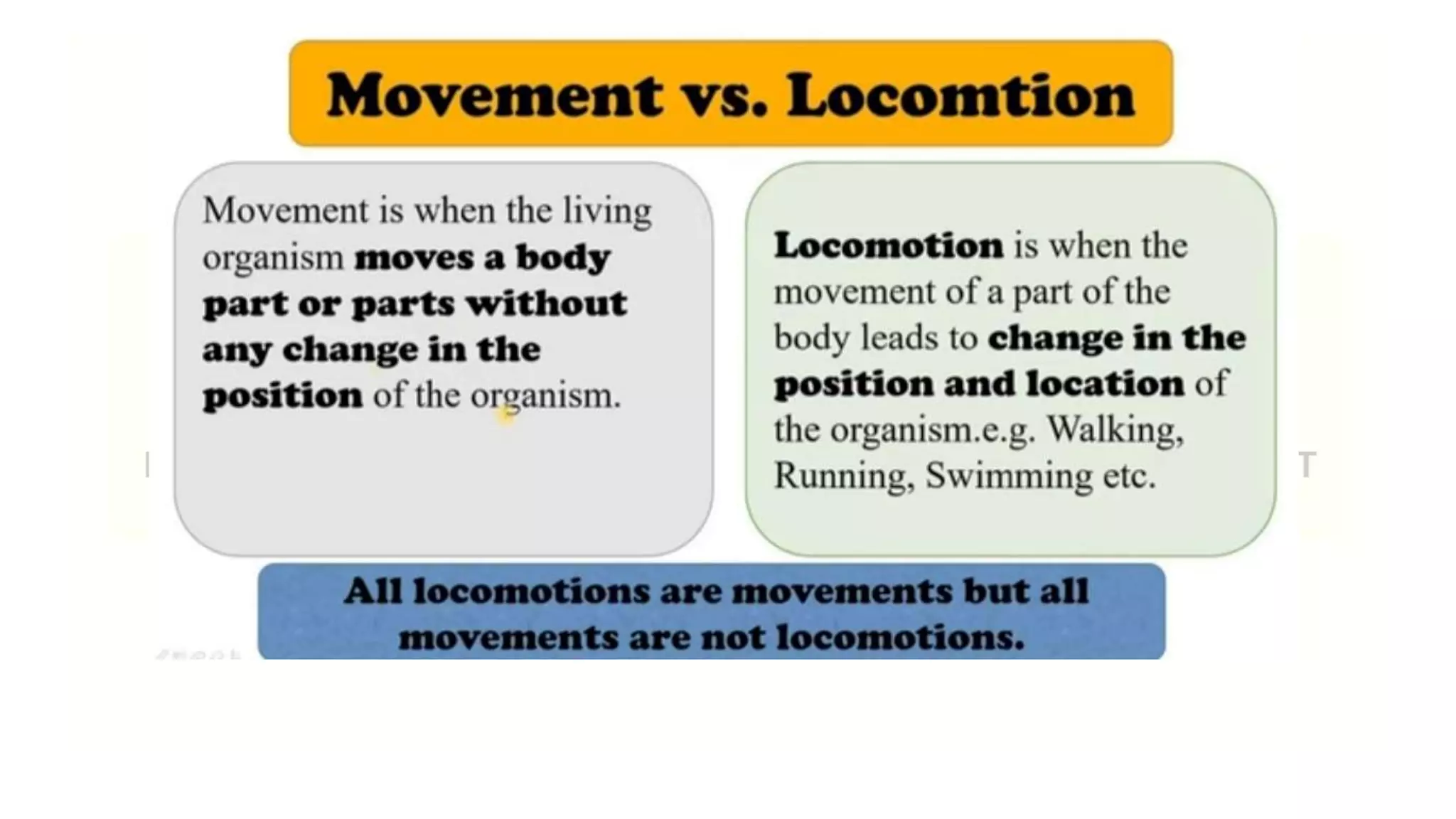 CLASS 6 - BODY MOVEMENTS - NCERT | PPTX