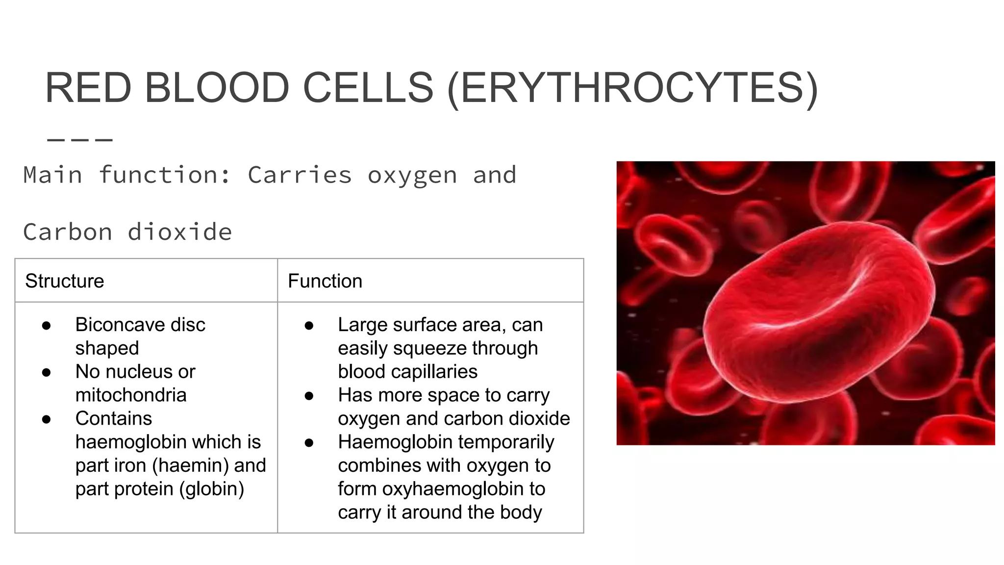 Class vii blood and circulation | PPTX