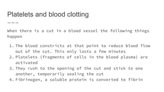 Class vii blood and circulation | PPTX