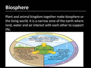 Class VII - Enviornment PPT Geography.pdf