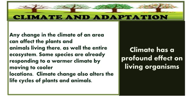 Class vii weather climate and adaptations of animals to climate- manju ...
