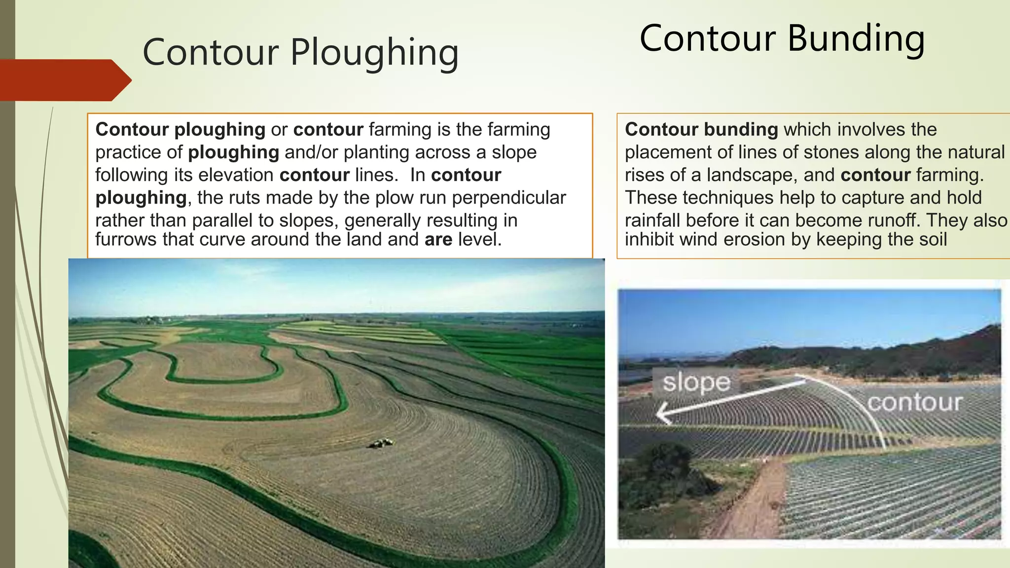 Class viii land soil-water-natural-vegetation-and-wildlife-resources | PPTX