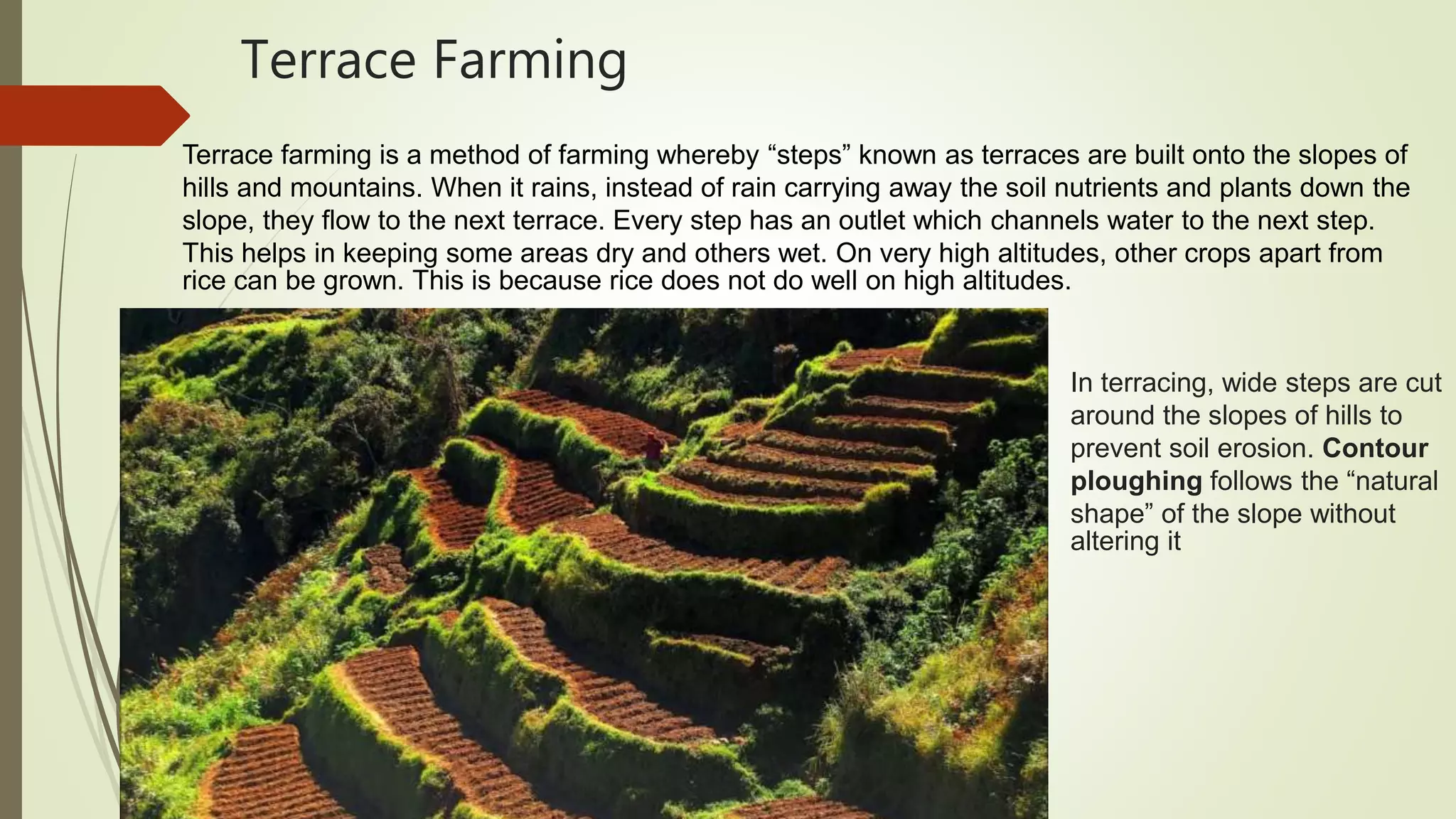 Class viii land soil-water-natural-vegetation-and-wildlife-resources | PPTX