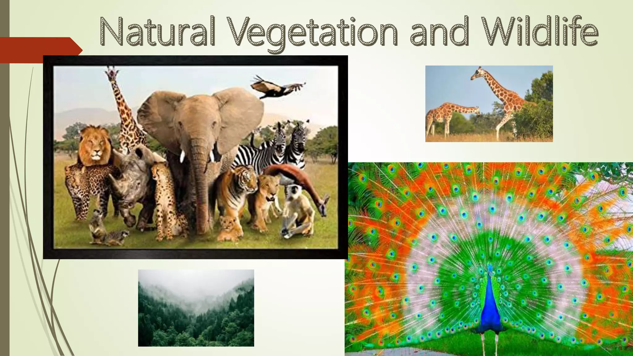 Class viii land soil-water-natural-vegetation-and-wildlife-resources | PPTX