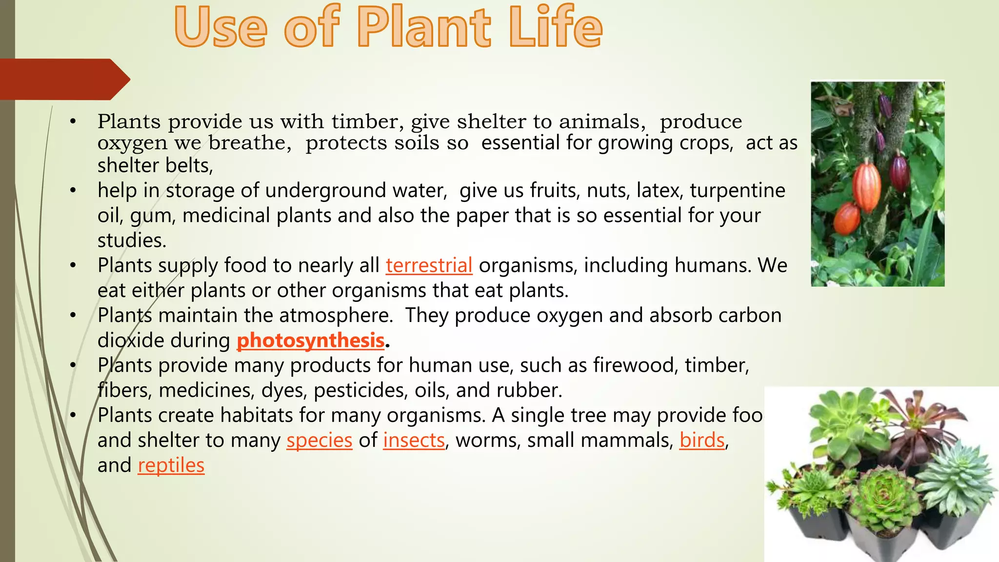 Class viii land soil-water-natural-vegetation-and-wildlife-resources | PPTX