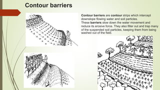 Class viii land soil-water-natural-vegetation-and-wildlife-resources | PPTX