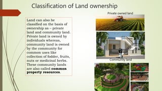 Class viii land soil-water-natural-vegetation-and-wildlife-resources | PPTX