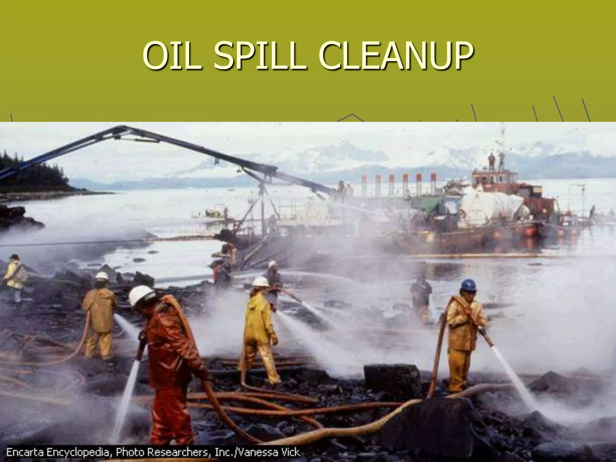 Class VIII Resource | PPTX