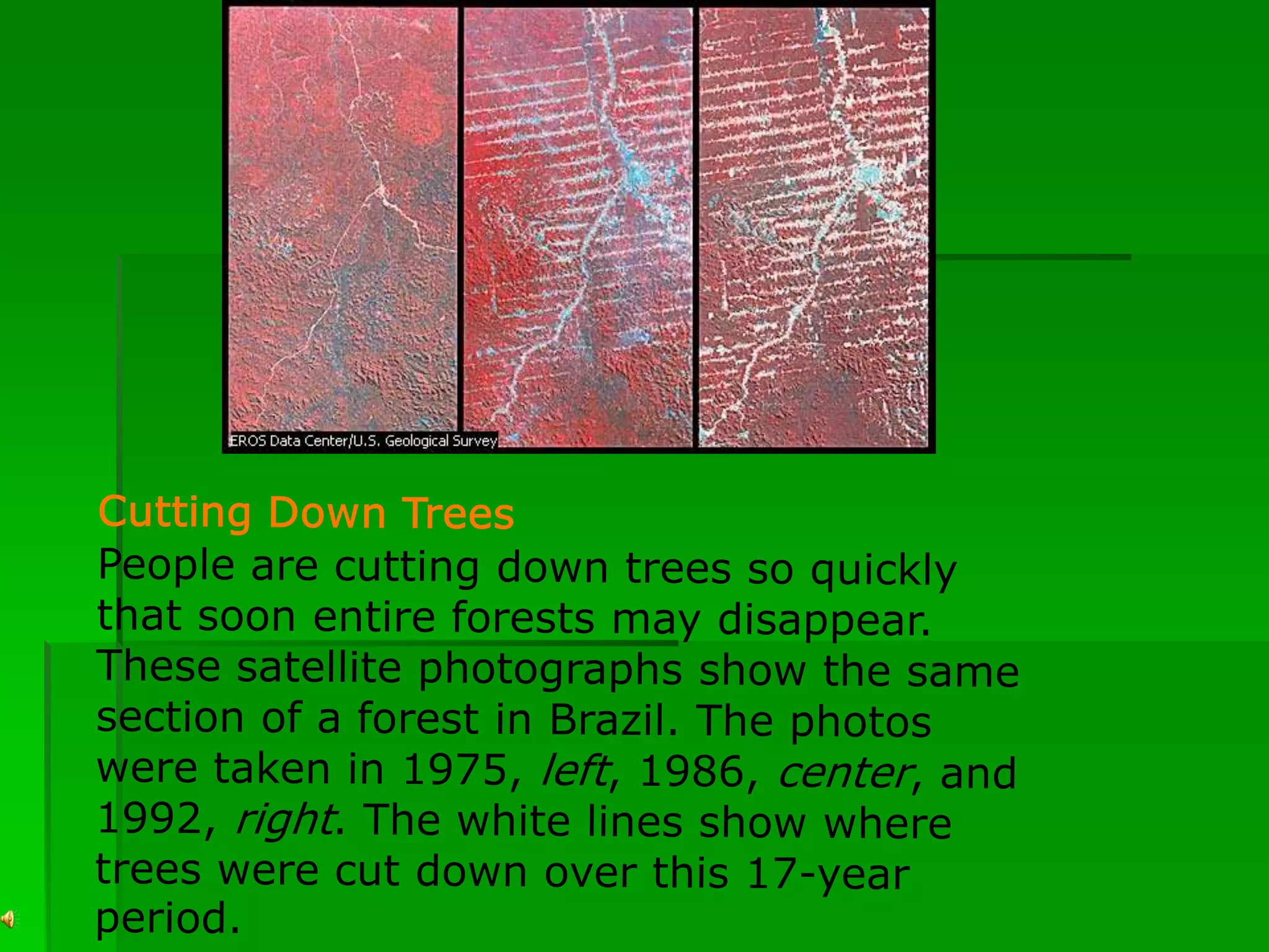 Class VIII Resource | PPTX