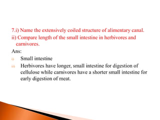 Class x biology life processes | PPTX