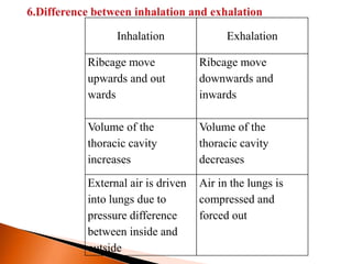 Class x biology life processes | PPT