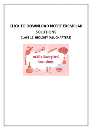 Class XI Biology Notes Chapter 2 Biological Classification | PDF