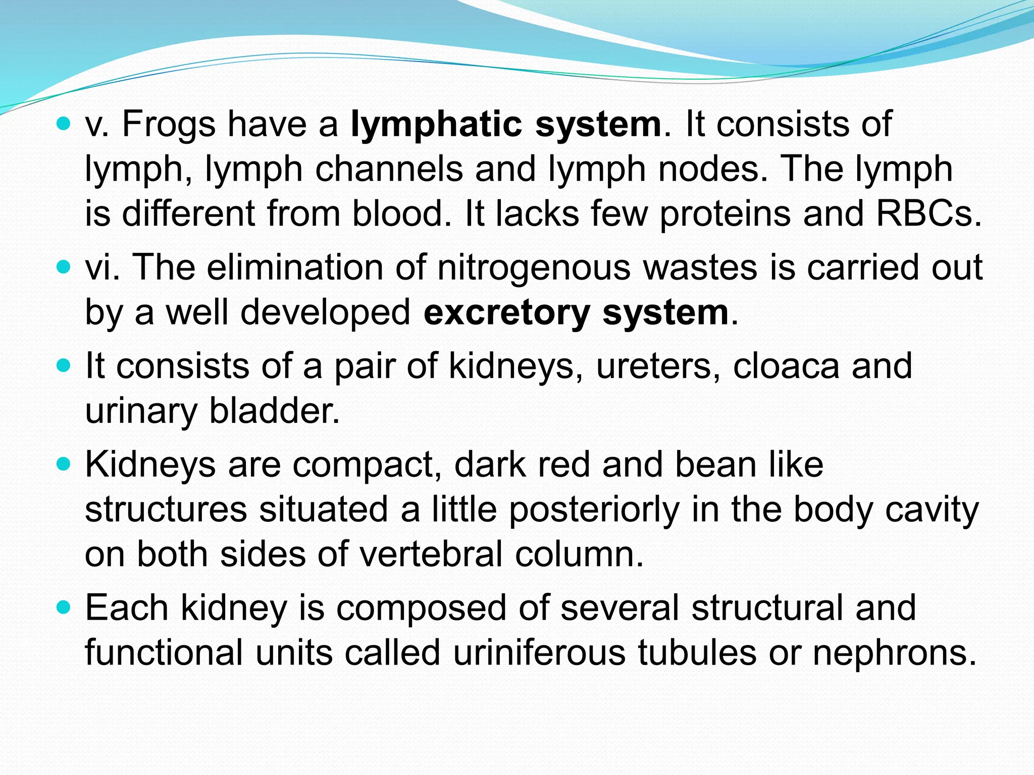 Class_XI_Biology_Structural Orgganization in Animals M 4 PPT.pdf ...