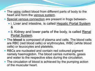 Class_XI_Biology_Structural Orgganization in Animals M 4 PPT.pdf ...