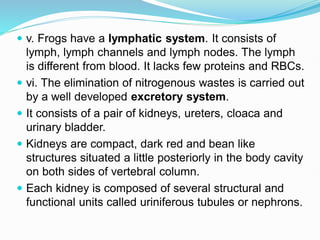 Class_XI_Biology_Structural Orgganization in Animals M 4 PPT.pdf ...