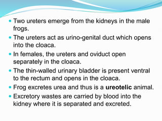 Class_XI_Biology_Structural Orgganization in Animals M 4 PPT.pdf ...