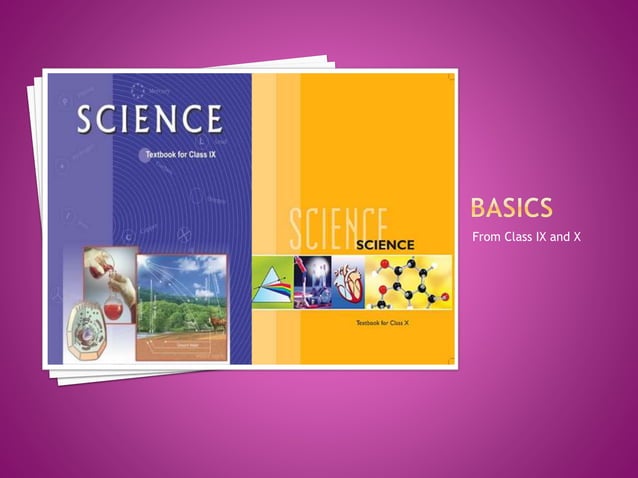 Class XI Bridge Course 2024-25 Introduction.pptx