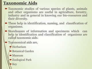 Class xi ch 1 | PPTX | Biological Sciences | Science