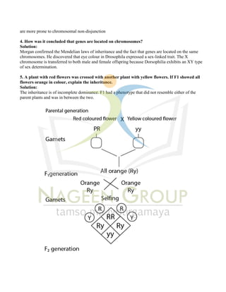 Class XII Biology Notes Chapter 4 Principles of Inheritance and ...