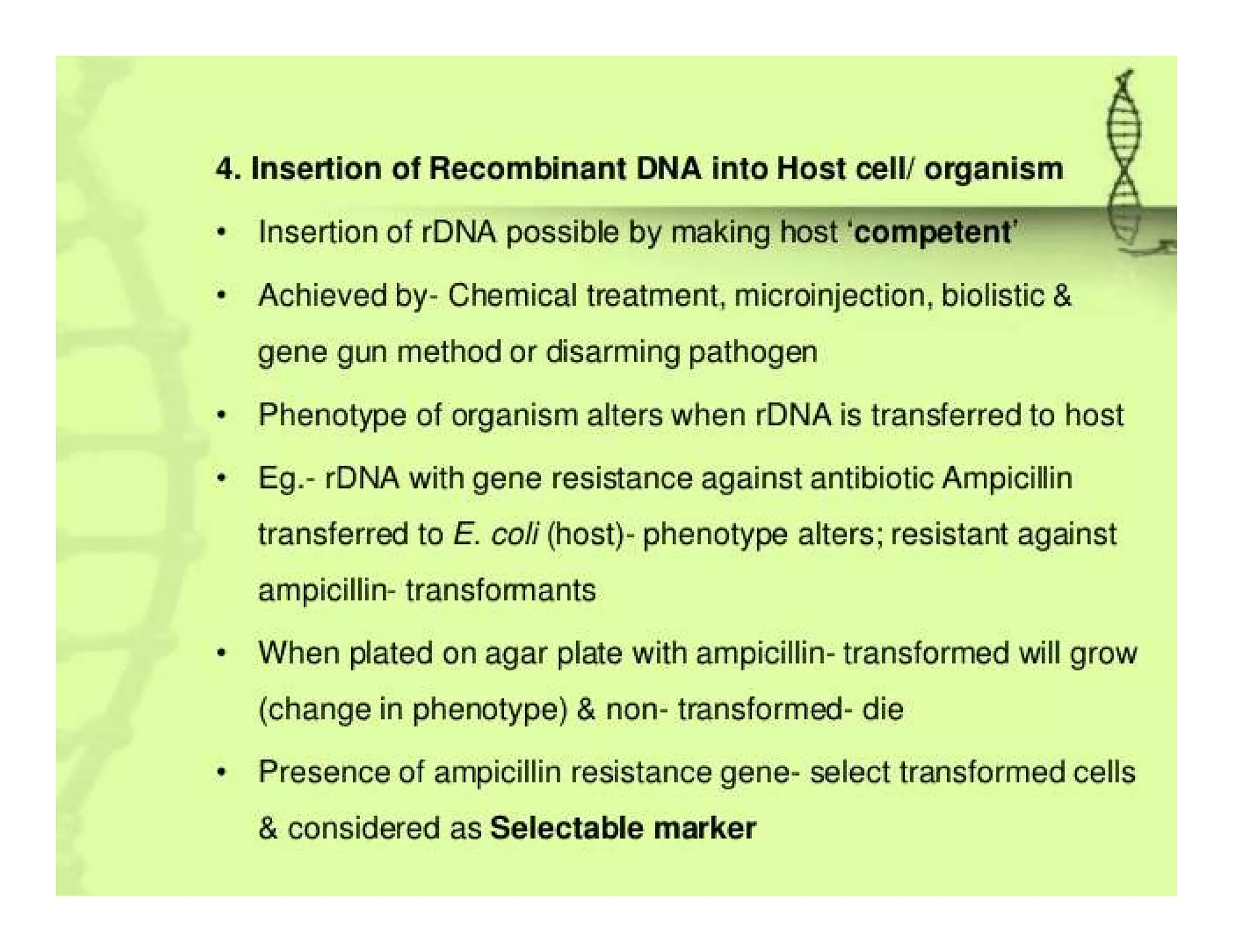 Class XII_Biotechnology and its processes ppt.pdf