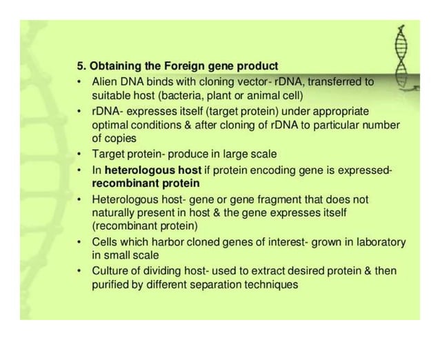 Class XII_Biotechnology and its processes ppt.pdf