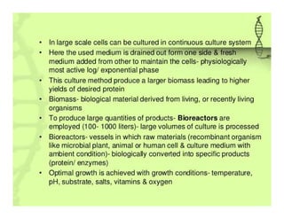 Class XII_Biotechnology and its processes ppt.pdf