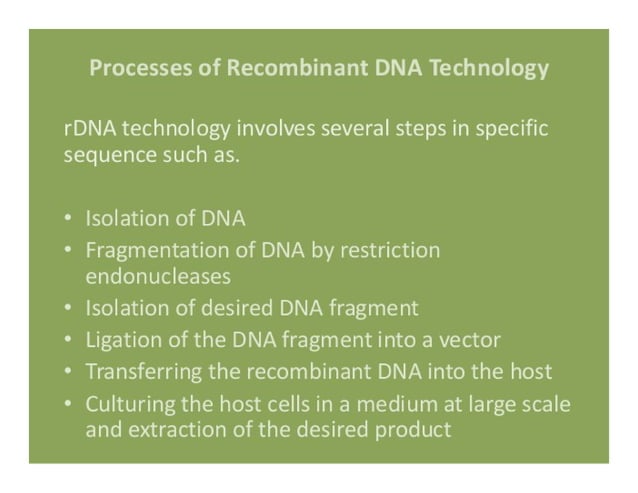 Class XII_Biotechnology and its processes ppt.pdf