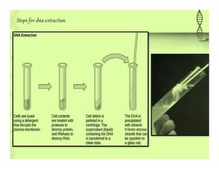 Class XII_Biotechnology and its processes ppt.pdf