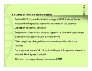 Class XII_Biotechnology and its processes ppt.pdf