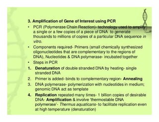 Class XII_Biotechnology and its processes ppt.pdf