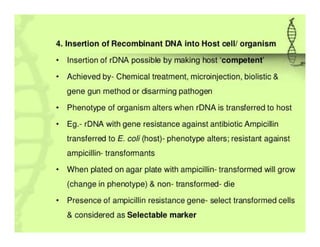 Class XII_Biotechnology and its processes ppt.pdf