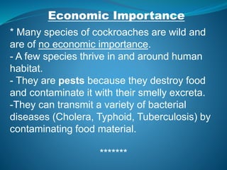 Class_XI_M 3 PPT XI Bio Ch 7 STRUCTURAL ORGANISATION IN ...
