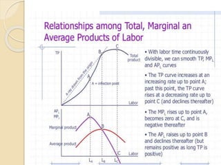 Production Functionand Law of Variable Proportion | PPTX