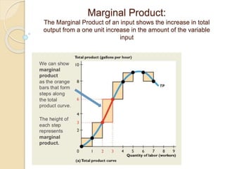 Production Functionand Law of Variable Proportion | PPTX