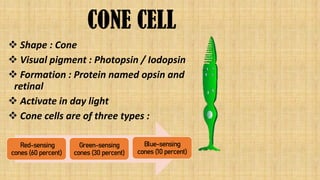 Class X SCI CH 2 Session 3 | PPT
