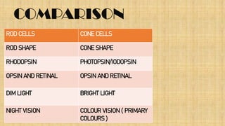 Class X SCI CH 2 Session 3 | PPT