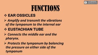 Class X SCI CH 2 Session 6 | PPT