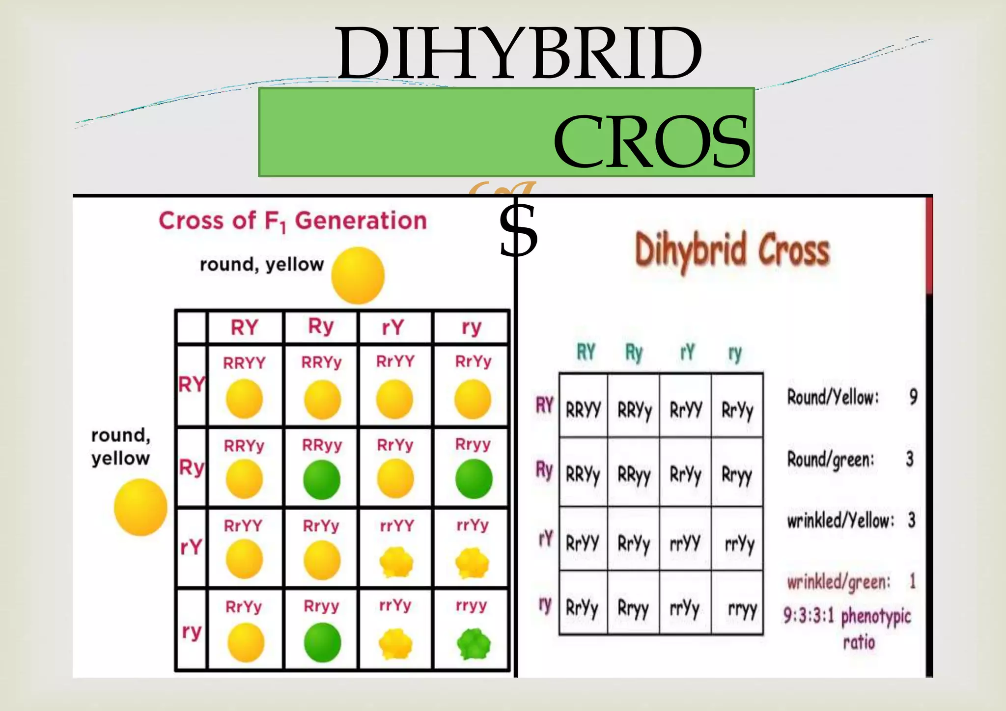 Class _X_Science_Heredity and evolution_PPT pdf.pptx
