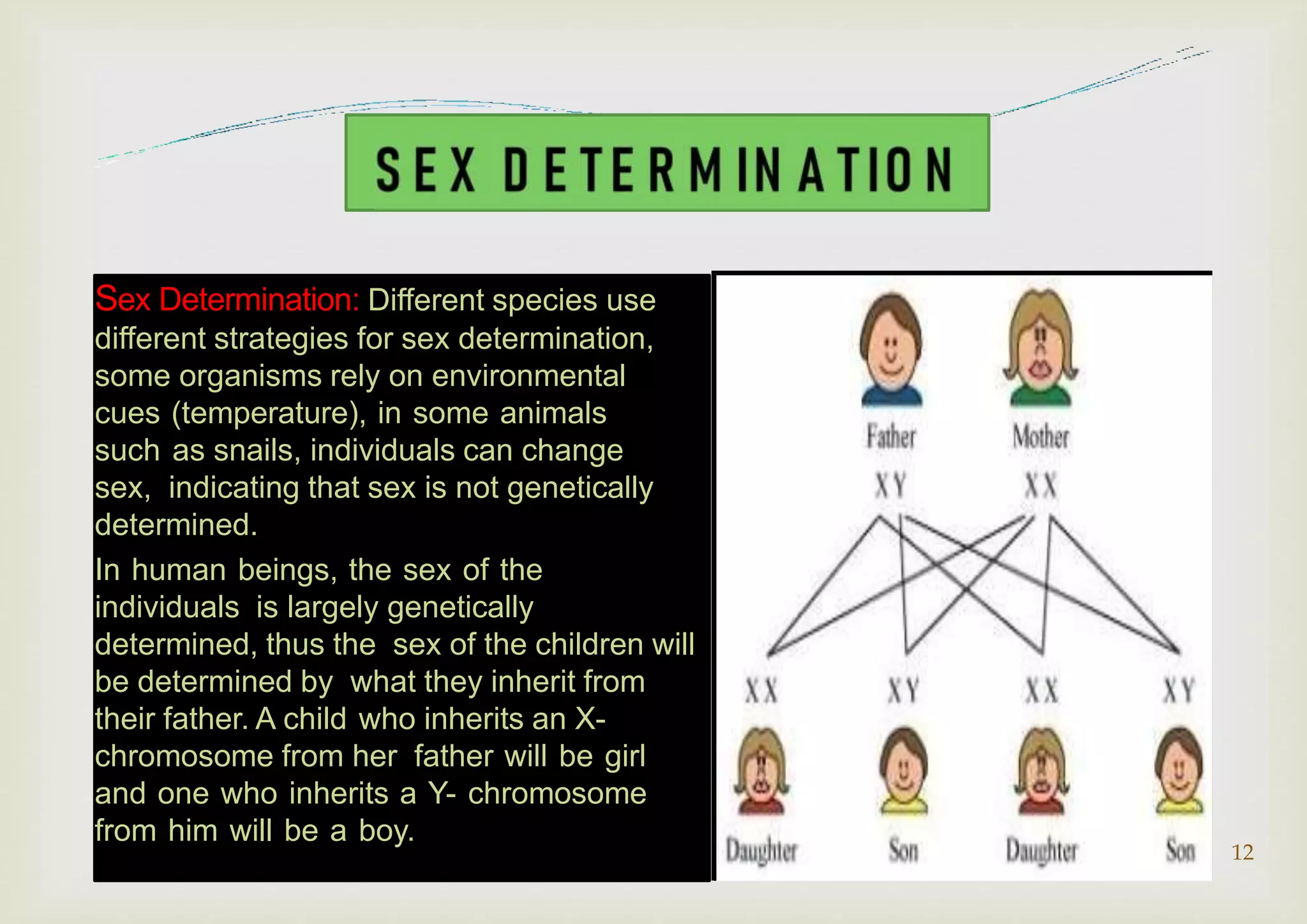Class _X_Science_Heredity and evolution_PPT pdf.pptx