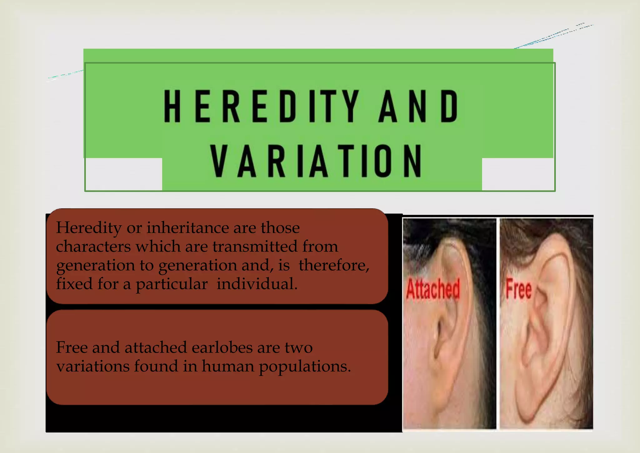 Class _X_Science_Heredity and evolution_PPT pdf.pptx
