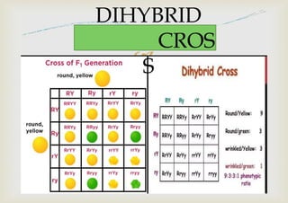Class _X_Science_Heredity and evolution_PPT pdf.pptx