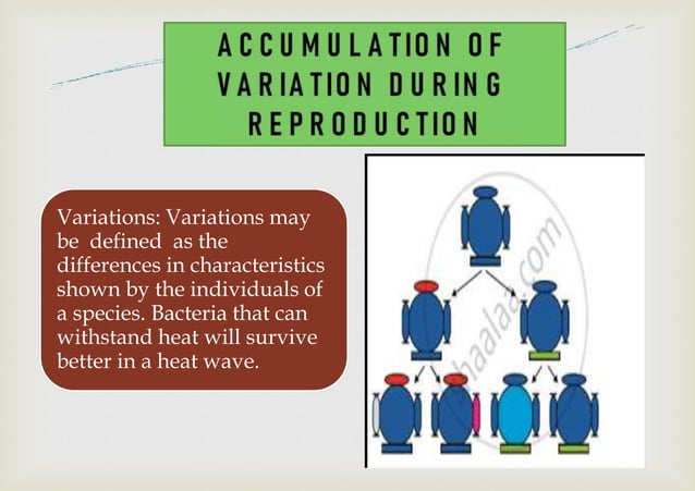 Class _X_Science_Heredity and evolution_PPT pdf.pptx