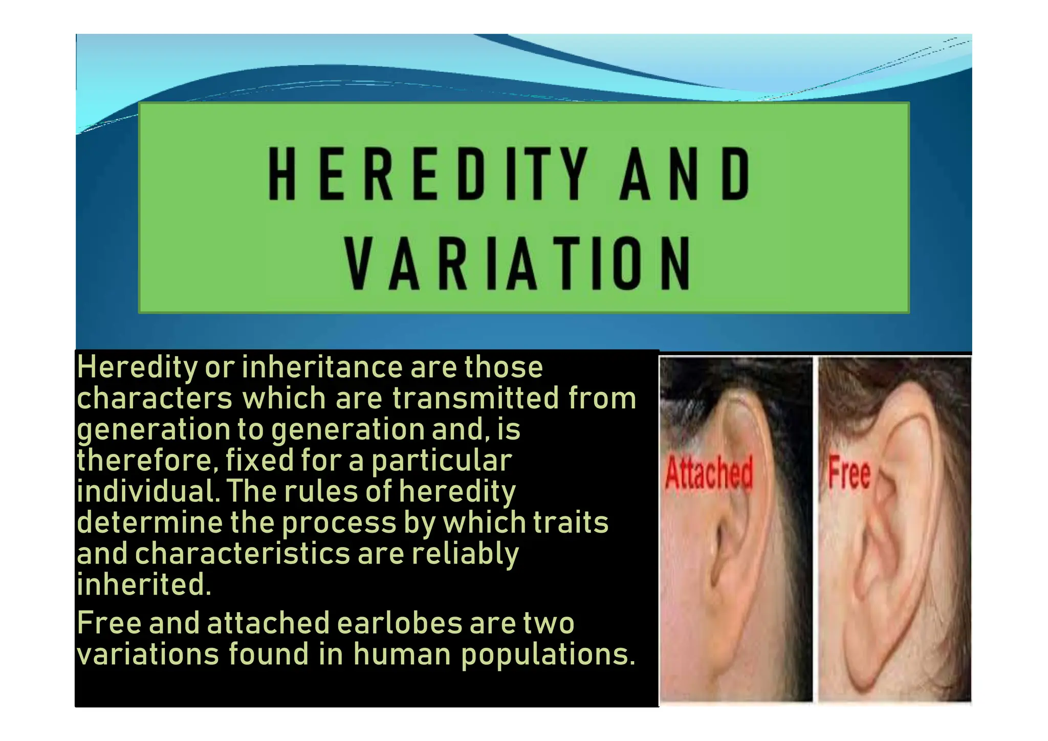 Class _X_Science_Heredity and evolution_PPT pdf (1).pptx