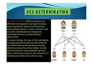 Class _X_Science_Heredity and evolution_PPT pdf (1).pptx