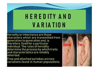 Class _X_Science_Heredity and evolution_PPT pdf (1).pptx