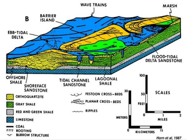 Clastic depositional system