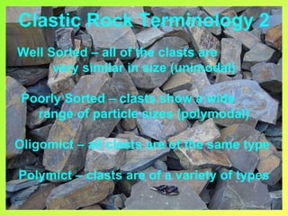 Clastic sedimentary rockssmall | PPT