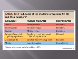 Claudes syndrome | PPT