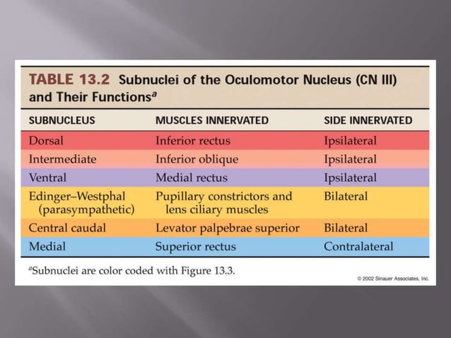 Claudes syndrome | PPT