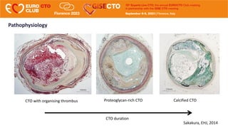 15th Experts Live CTO - Claudia Cosgrove: Calcium and CTO | PDF